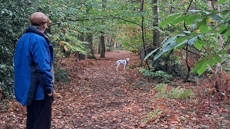 Simon Taylor-Williams is fundraising for Dementia UK