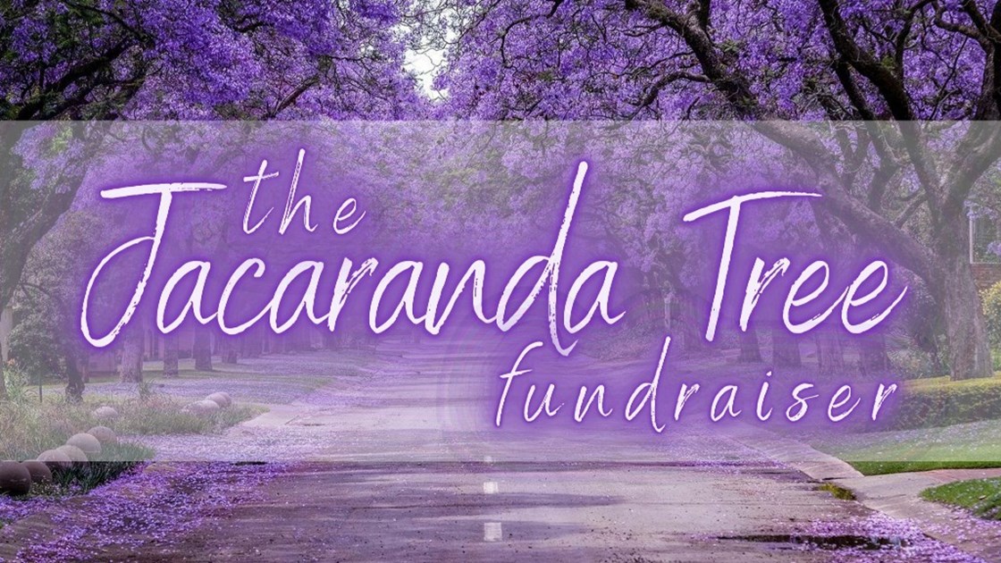 The Jacaranda Tree Fundraiser - JustGiving