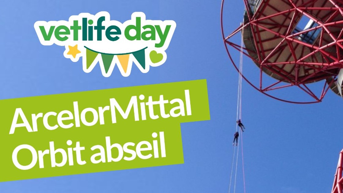 ArcelorMittal Orbit abseil for Vetlife - JustGiving