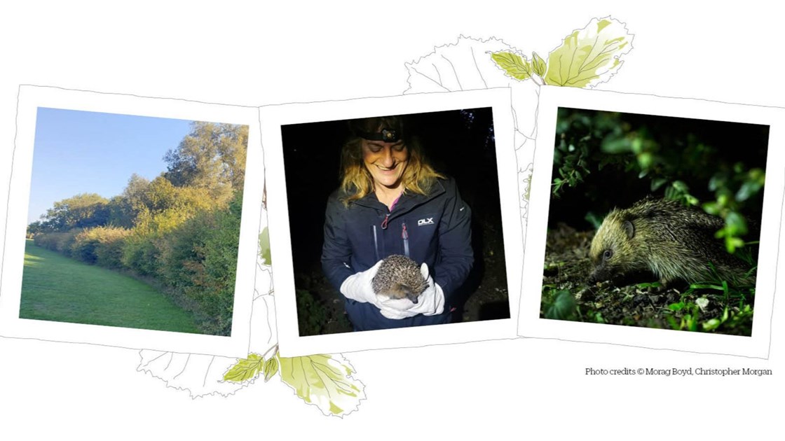 Upham Primary School is fundraising for Peoples Trust For Endangered ...