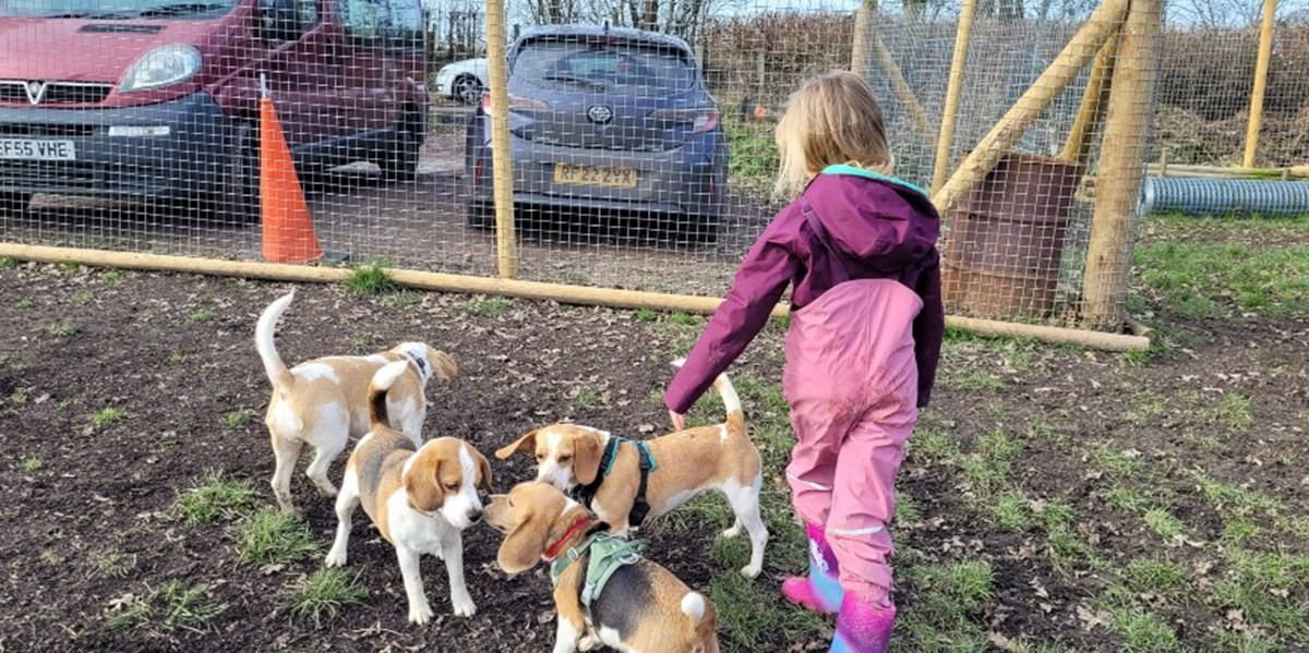 Andy Porter is fundraising for Beagle Welfare