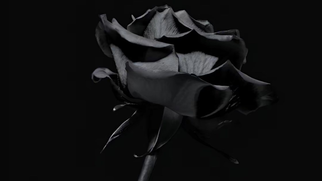 ahmed rami is fundraising for HELP ME HELP YOU