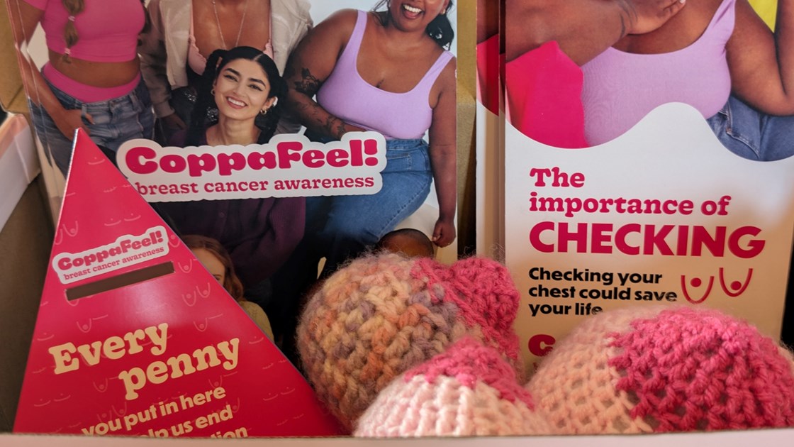 Sophie Blee is fundraising for CoppaFeel!