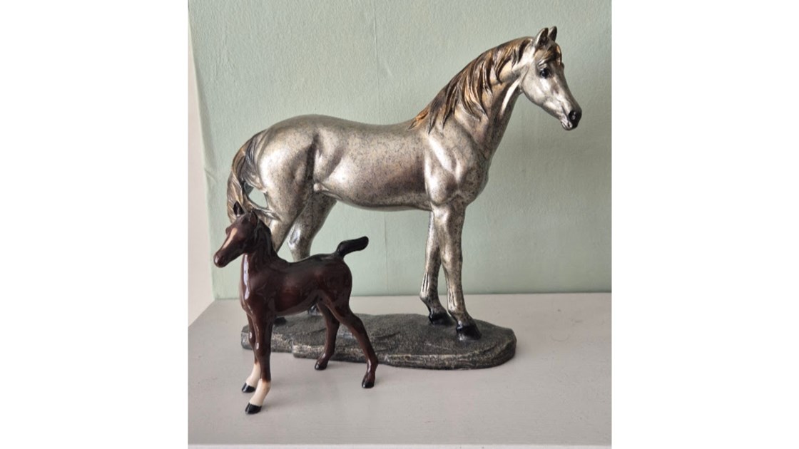 Emma Reeks is fundraising for World Horse Welfare