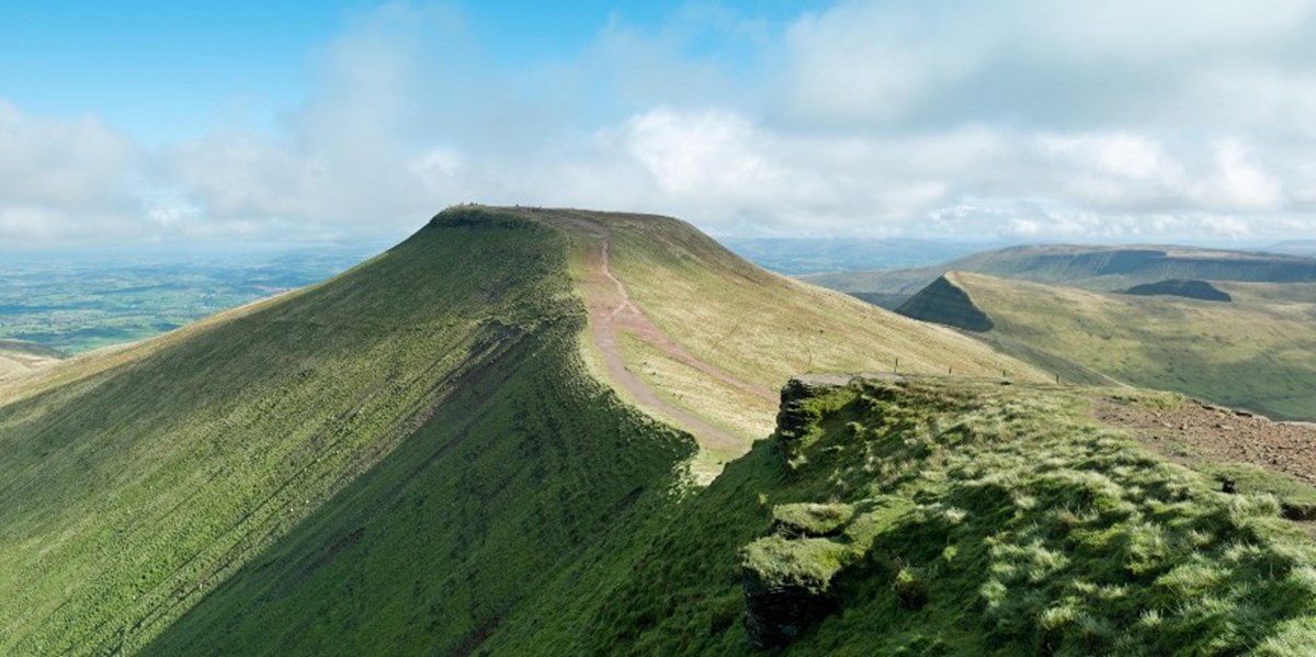 Omar Amri is fundraising for Brain Tumour Research