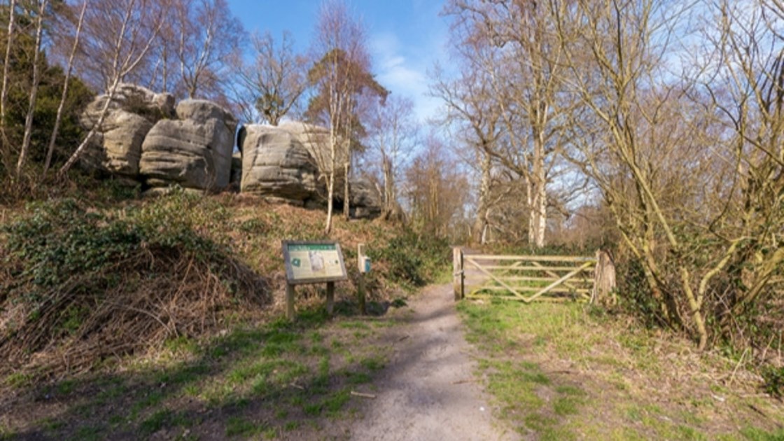 WIN Walk 2023 - Eridge Rocks - JustGiving