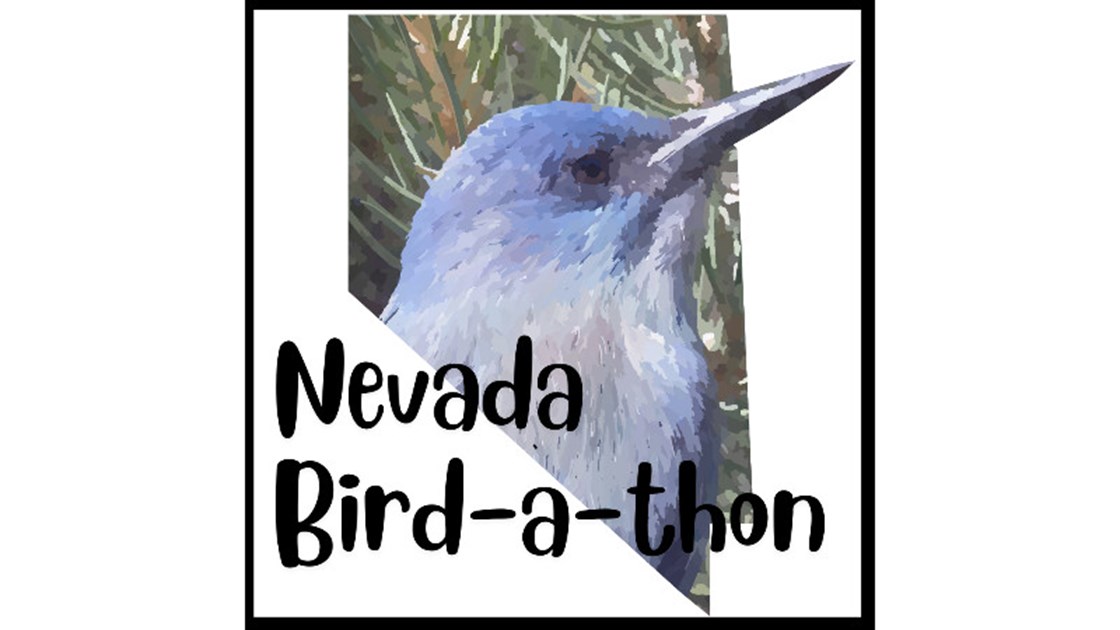 Jennifer Dudek is fundraising for Great Basin Bird Observatory
