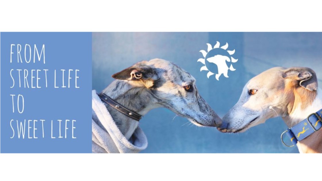 George Gentry is fundraising for GALGOS DEL SOL UK