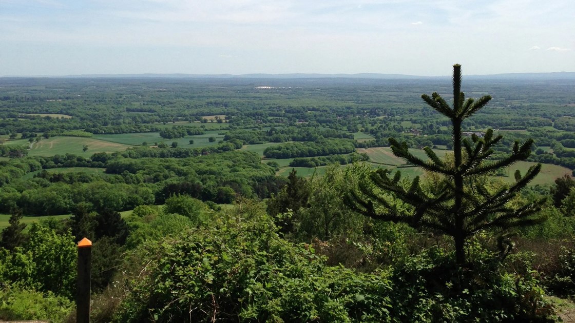 Sarah Culley is fundraising for Lighthouse Club