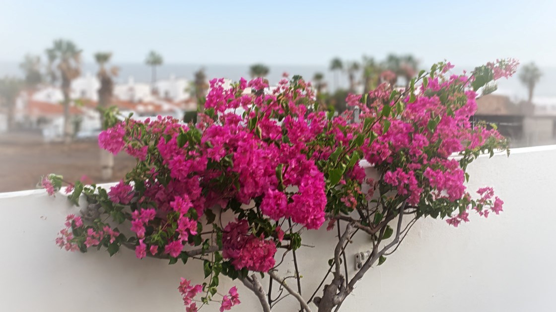 Christine Cowland is fundraising for Age UK