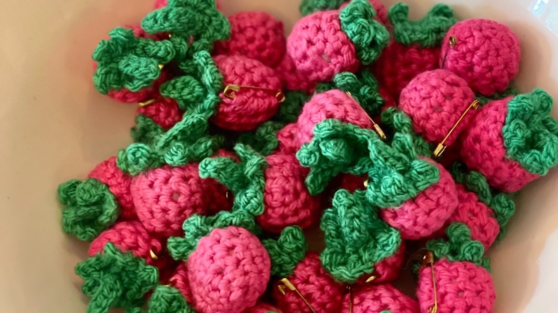 Raspberry Day 2021 - JustGiving