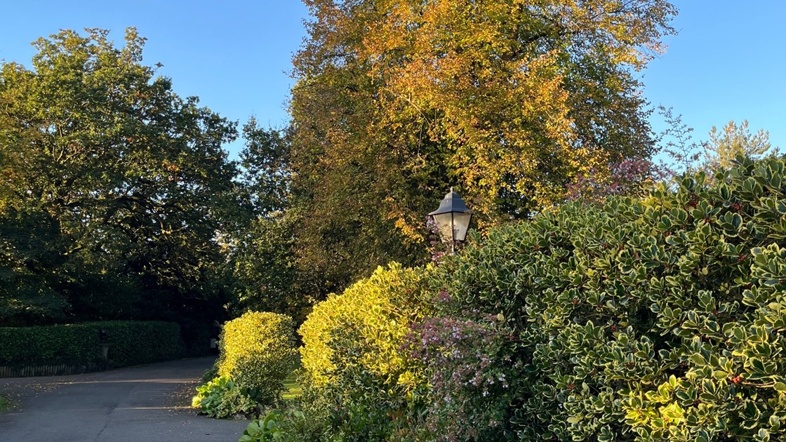 Lorna Hickey is fundraising for BBC Children in Need