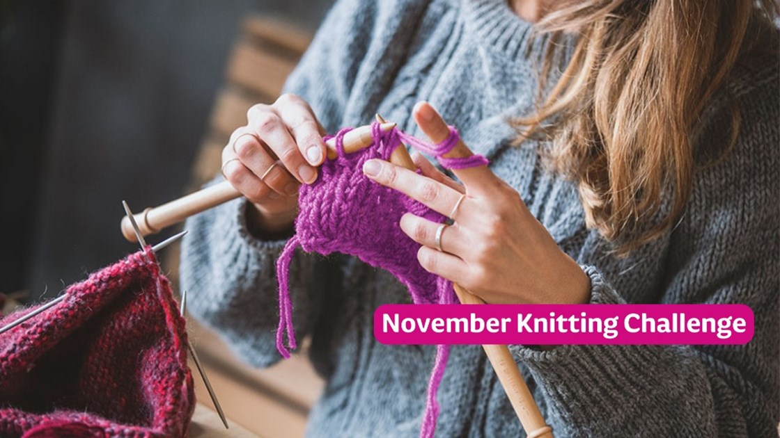 November Knitting Challenge 2023 - JustGiving