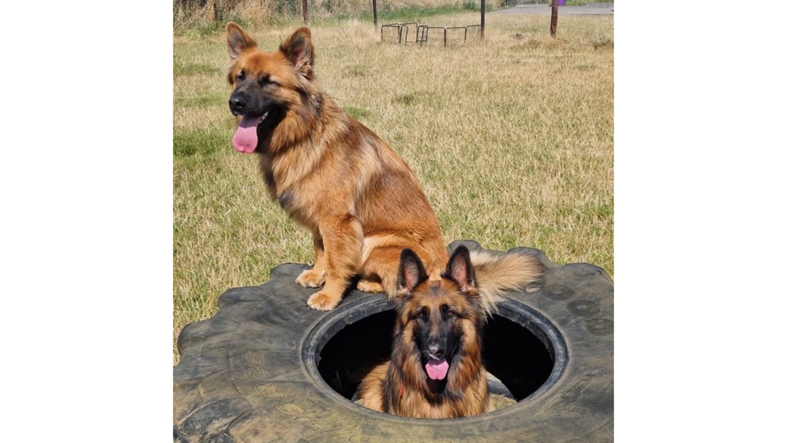 Nancy Middleton is fundraising for Dementia UK