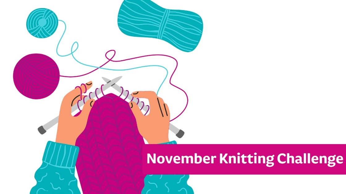 November Knitting Challenge - JustGiving