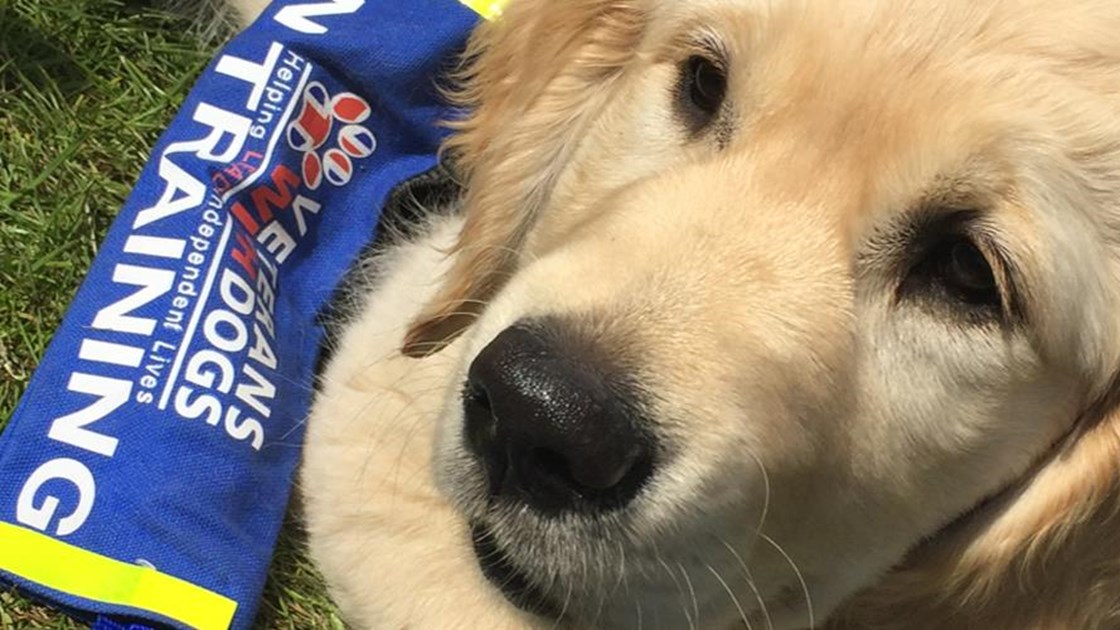 Eden de Burgh is fundraising for VETERANS WITH DOGS