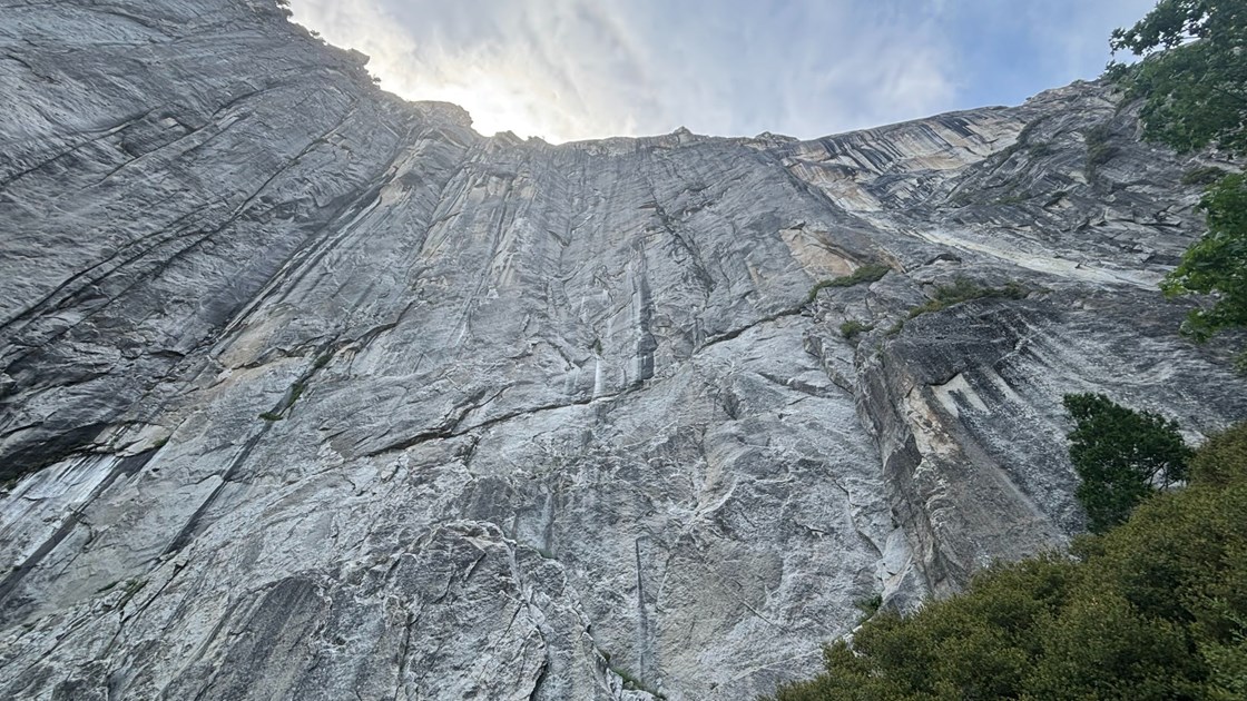 Dana Sand is fundraising for Nami