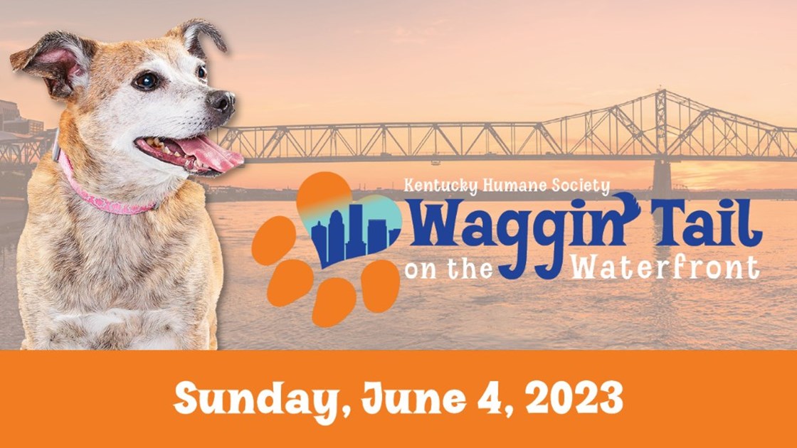 Julie Streble is fundraising for Kentucky Humane Society