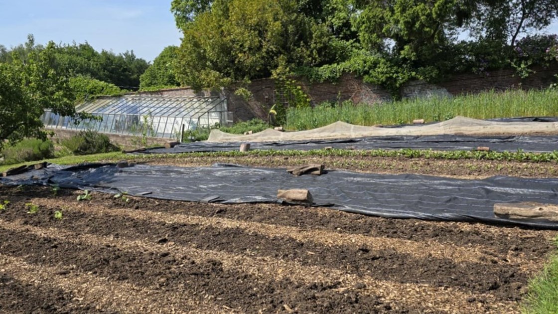 BSWS Explorers fundraising for Sunfield Children's Homes Limited is ...