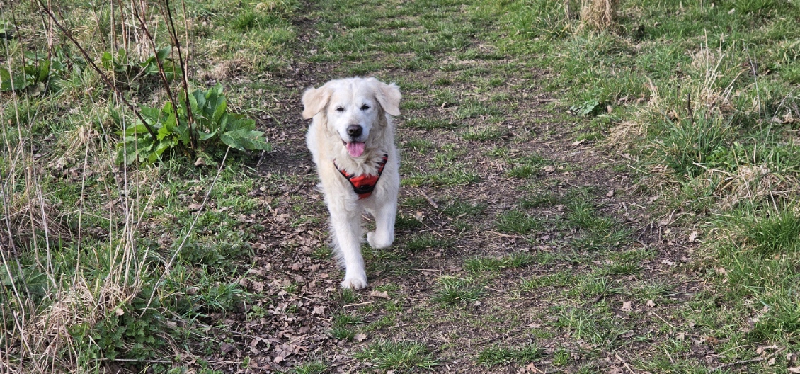 Amanda Durrant is fundraising for Maggie's Centres