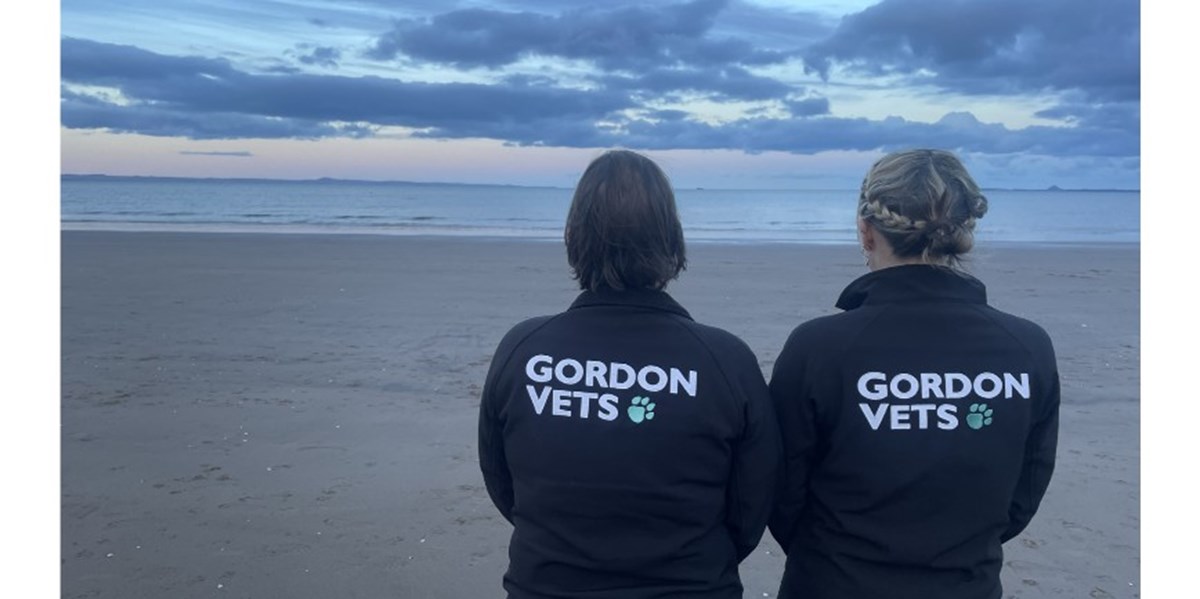Gordon Vets is fundraising for StreetVet