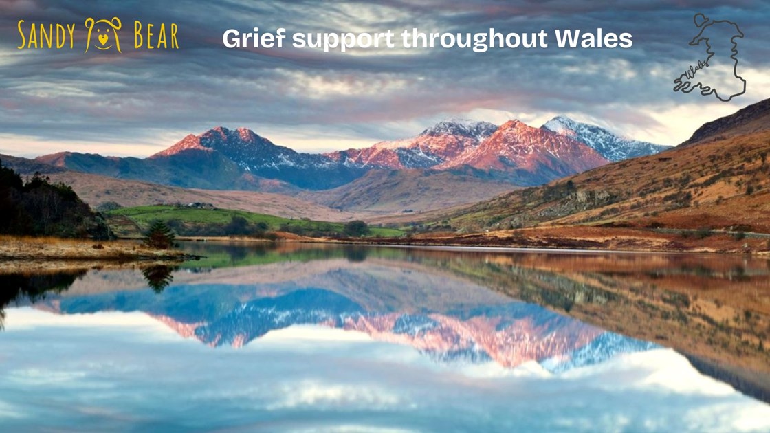 Sandy Bear Children's Bereavement Charity - JustGiving