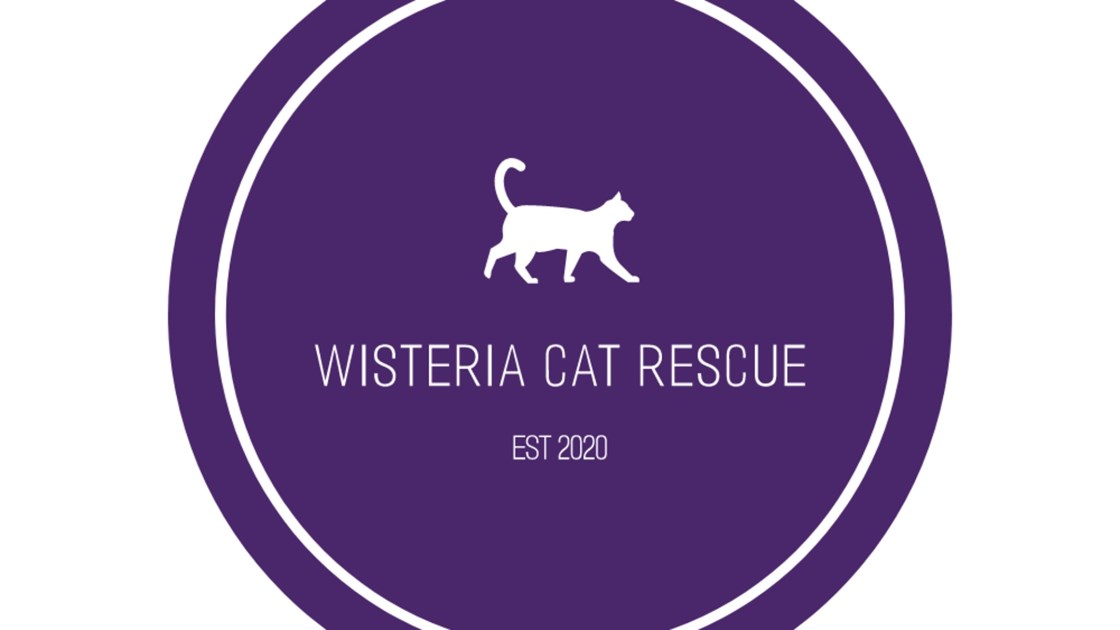 Billy Devitt is fundraising for Wisteria Cat Rescue