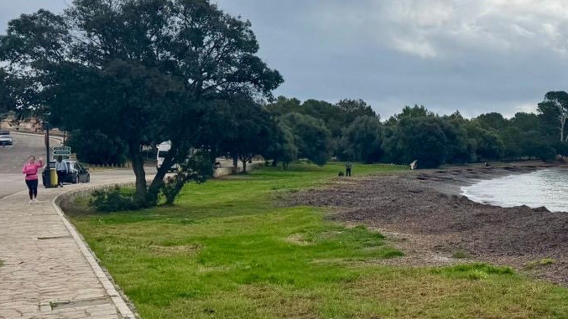 Amy Mulligan is fundraising for Refugee Action