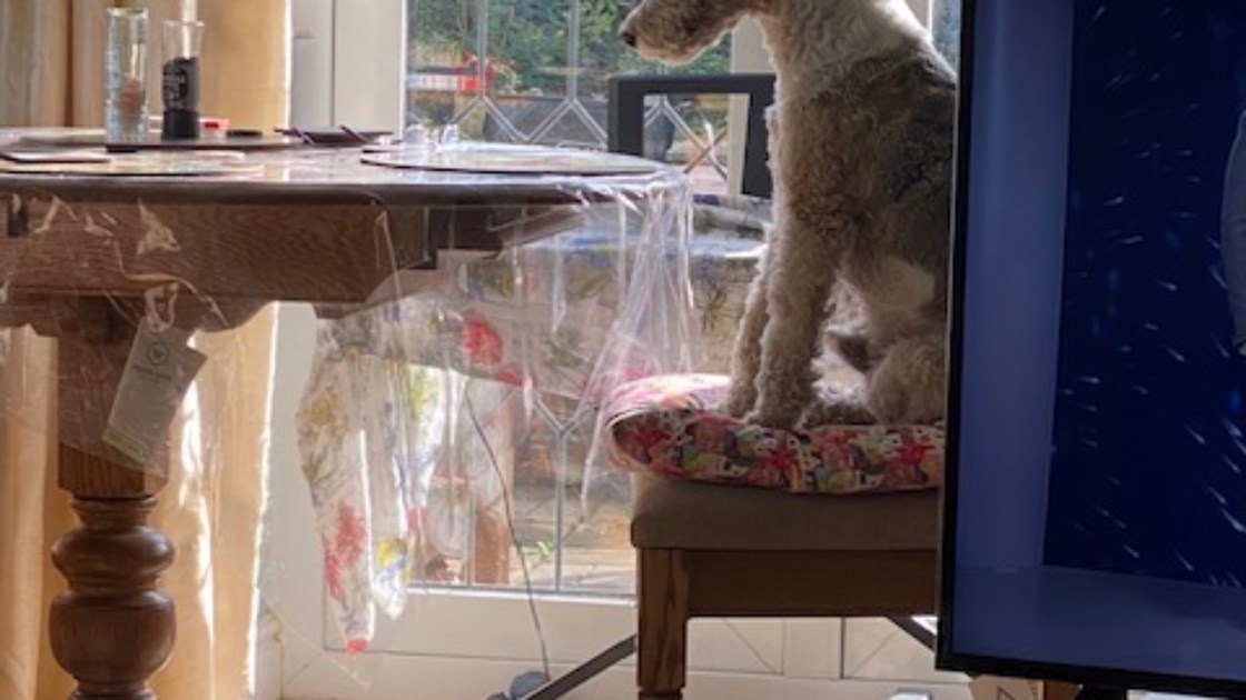 John Whitbread is fundraising for Dementia UK