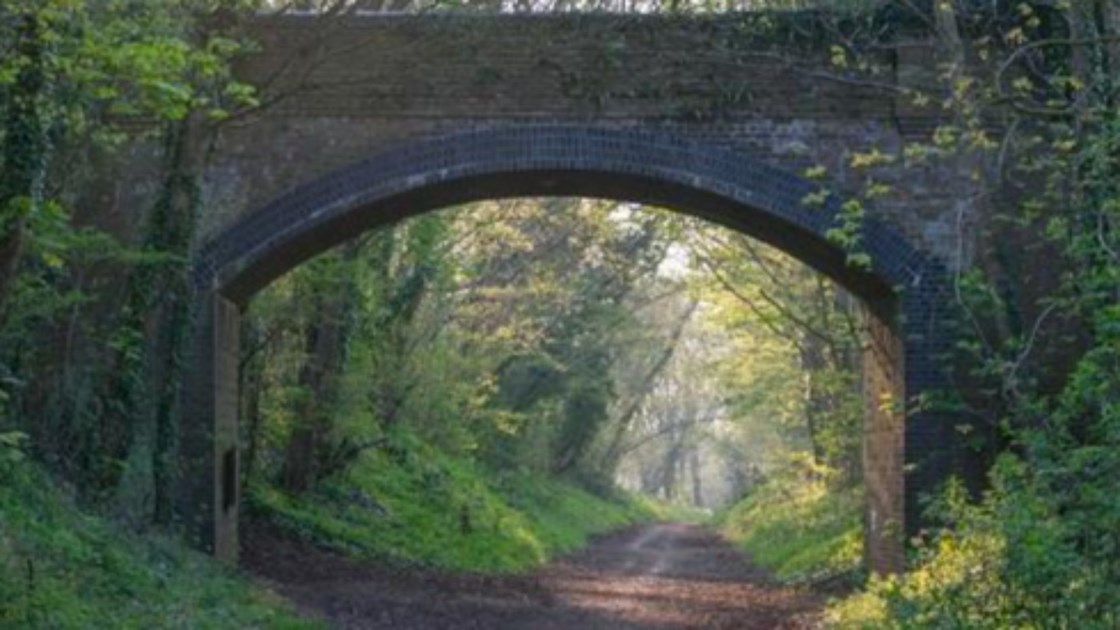 Tom Sparkes is fundraising for Muscular Dystrophy UK