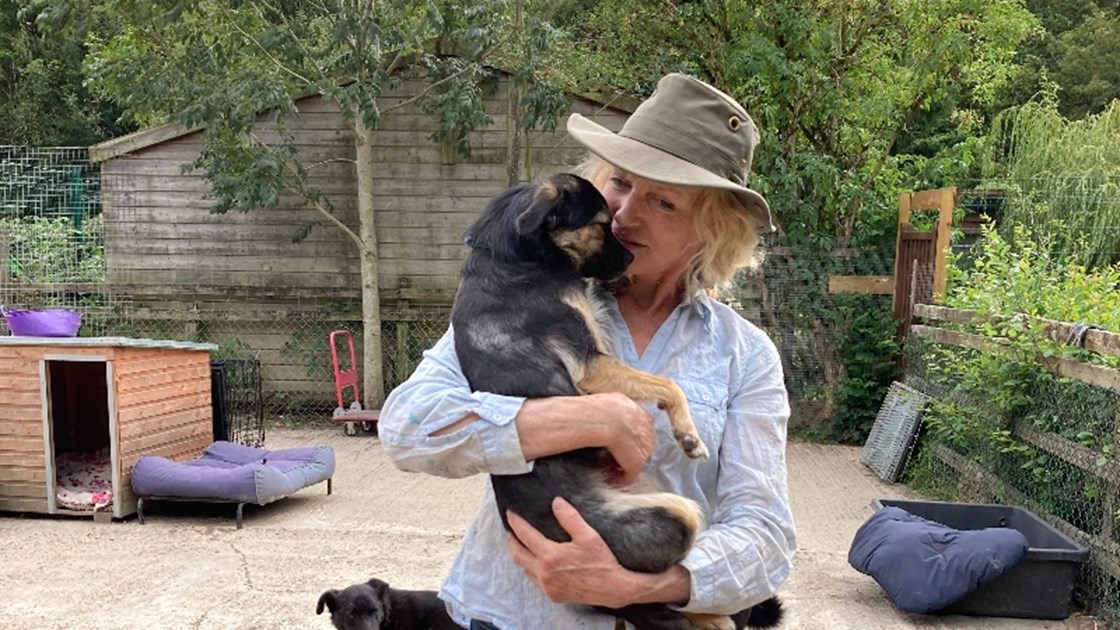 Matt Harvey is fundraising for Holbrook Animal rescue