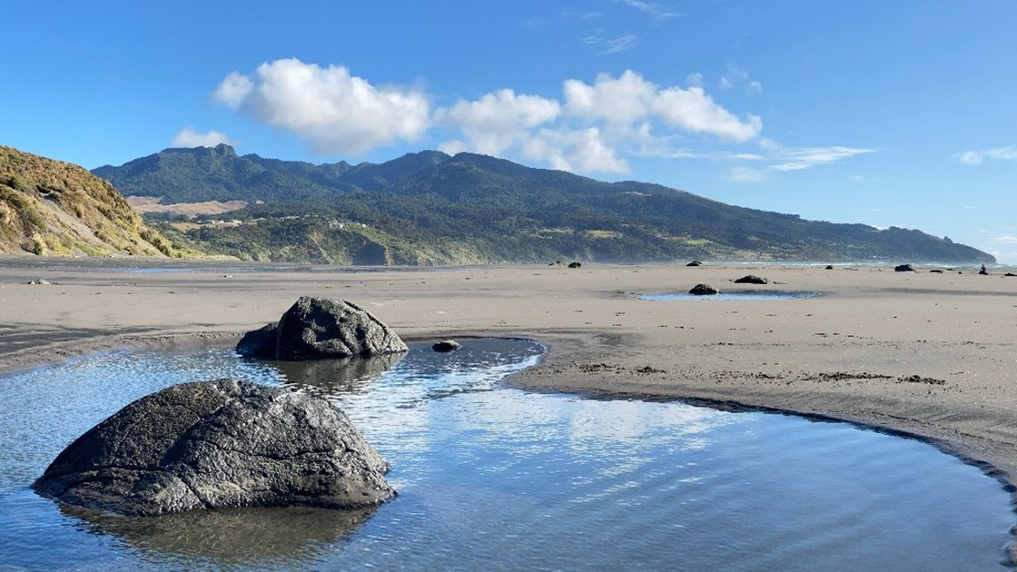 Support the Karioi Project and help us to restore our beautiful Karioi ...