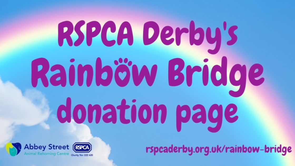 Rainbow Bridge Donations - JustGiving
