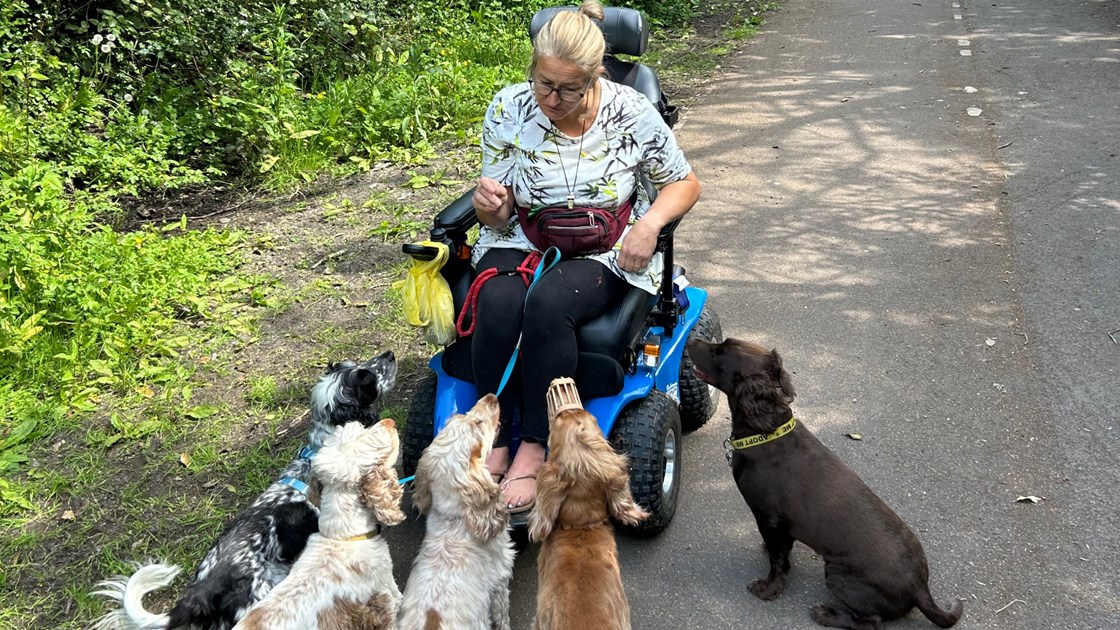 Rachel Dore is fundraising for Spaniel Aid UK