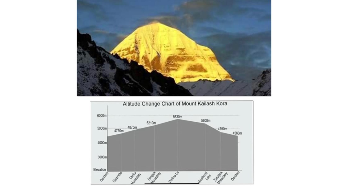 Reshma Acharya is fundraising for The Manna Society