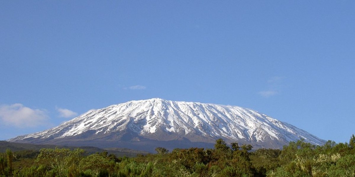 Ann-Marie Roche is fundraising for Home Instead Charities UK