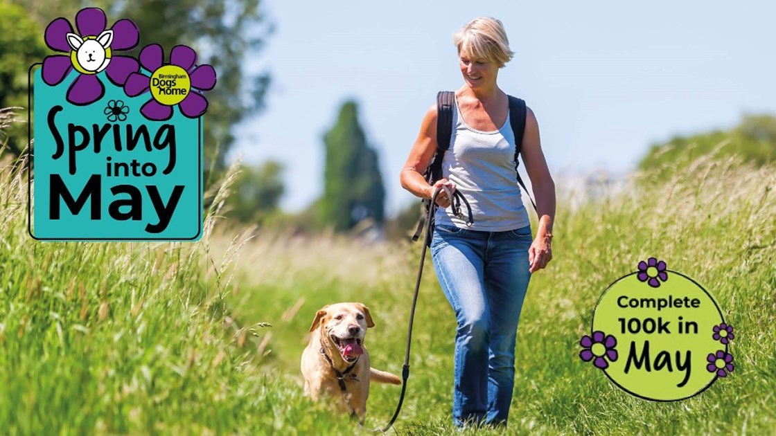 Spring into May for Birmingham Dogs Home - JustGiving
