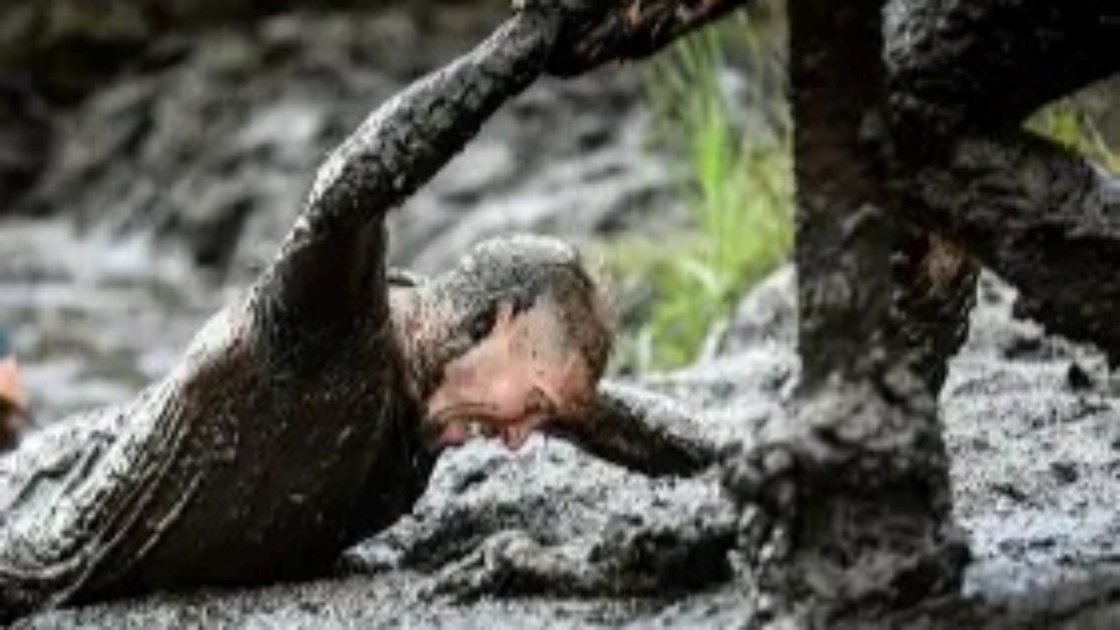 Krome Technologies is fundraising for Shooting Star Children's Hospices