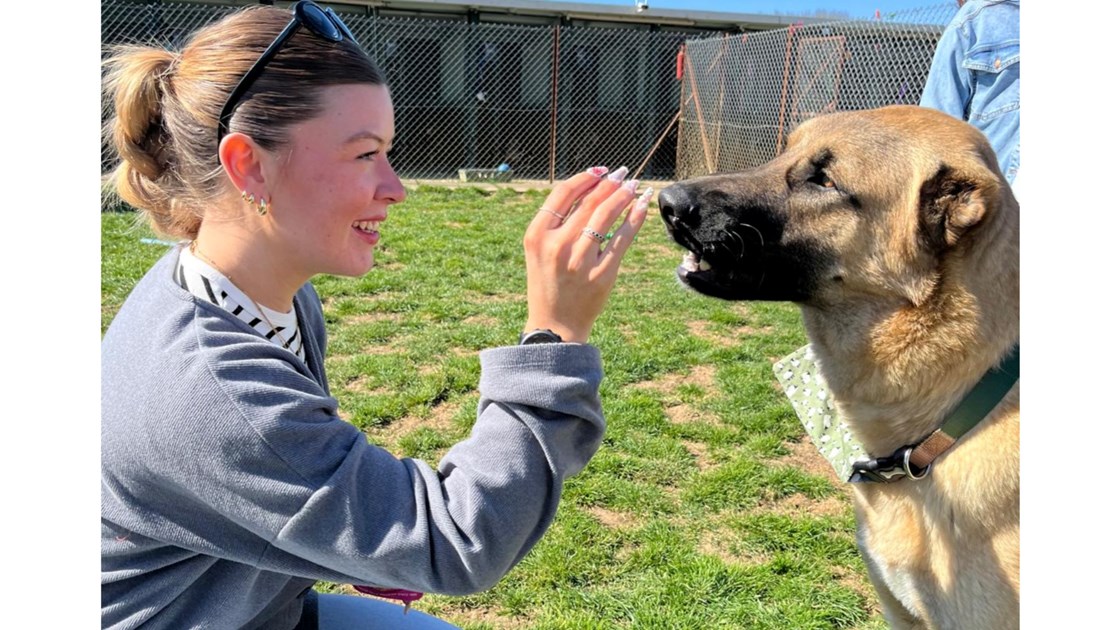 Imogen Wright is fundraising for Clymping Dog Sanctuary