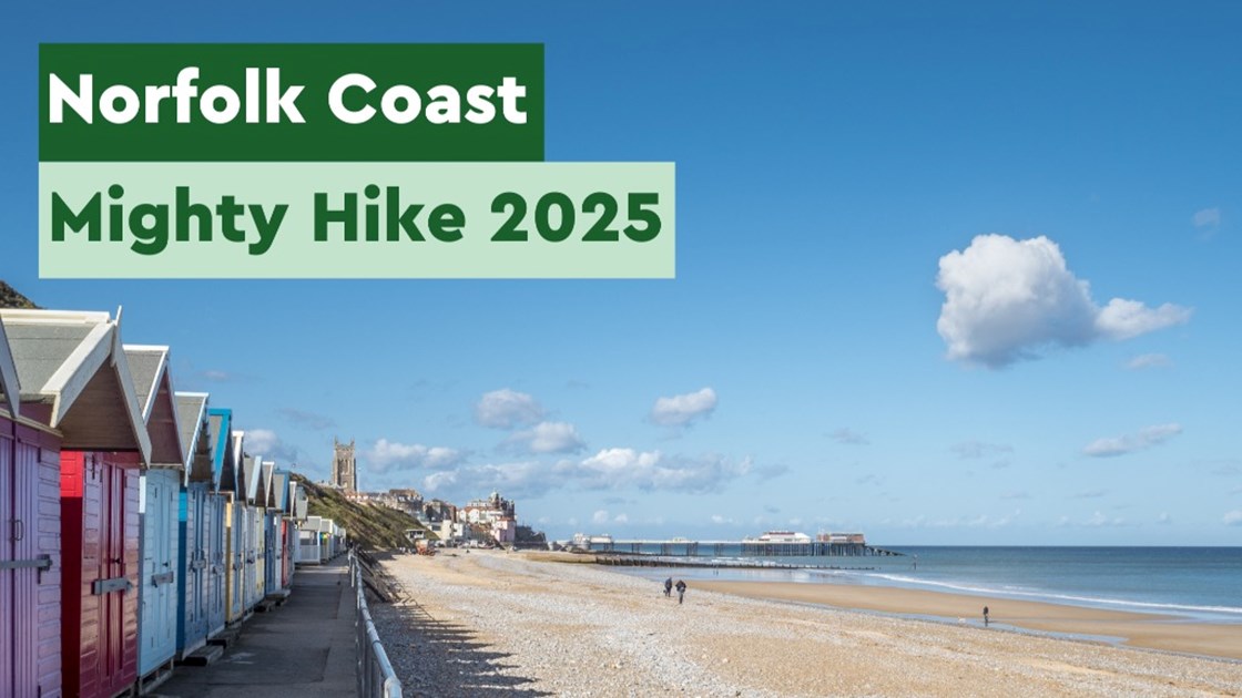 Sarah Godwin is fundraising for Macmillan Cancer Support