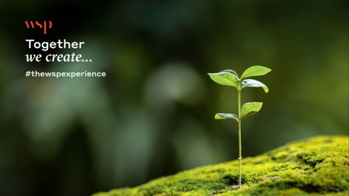 WSP Bristol Office is fundraising for Macmillan Cancer Support