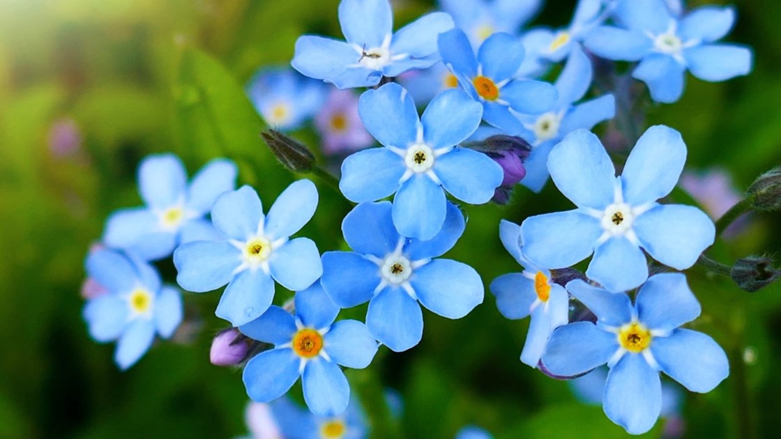 Chloe Busby is fundraising for Alzheimer's Society