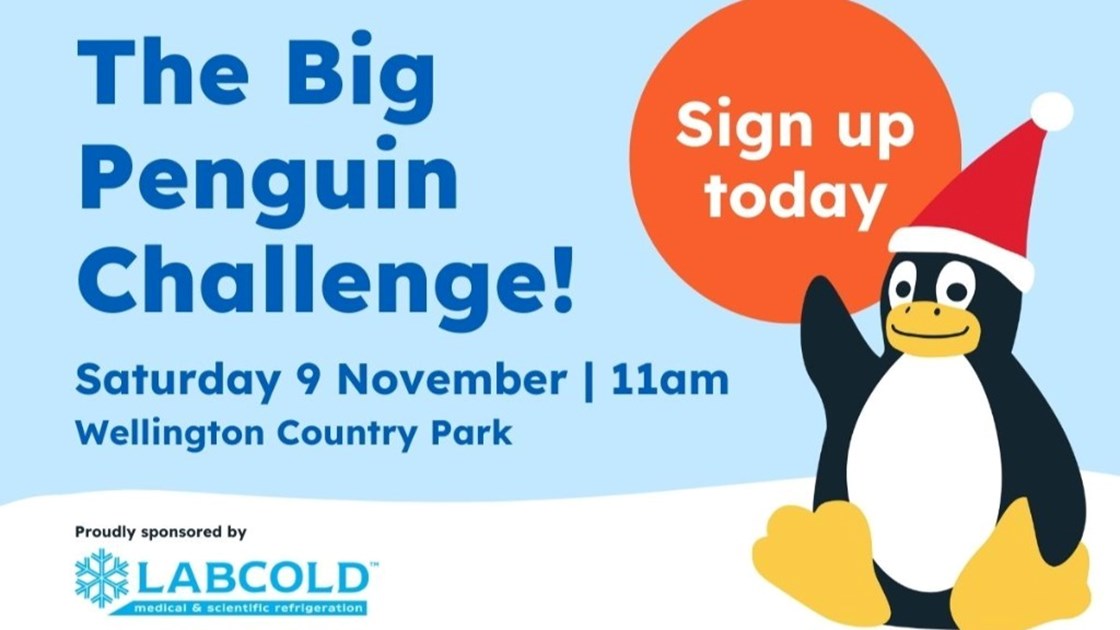 The Big Penguin Challenge - JustGiving