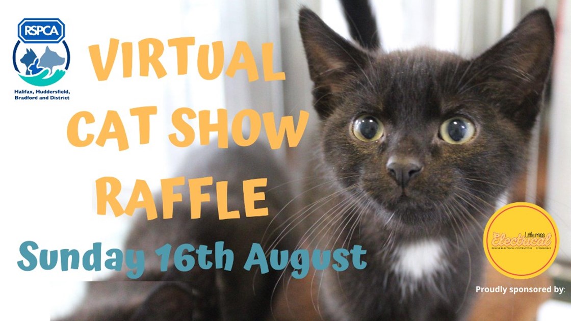 Virtual Cat Show Raffle - JustGiving