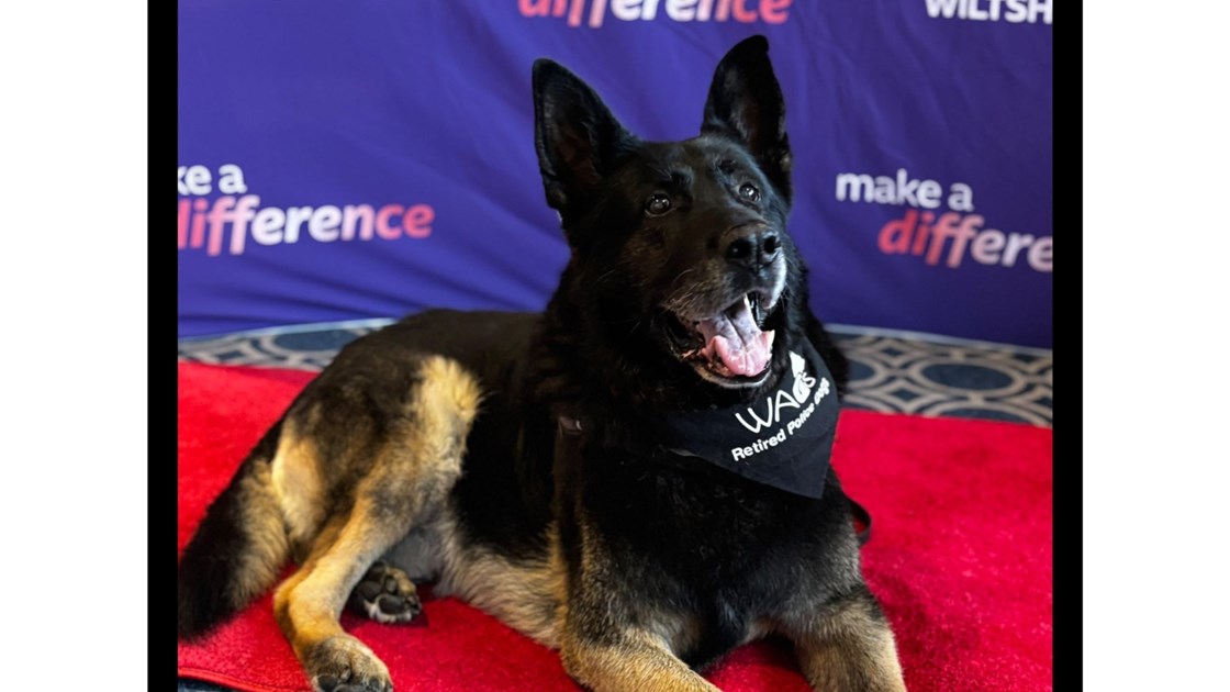 WAGS Retired Police Dogs - JustGiving