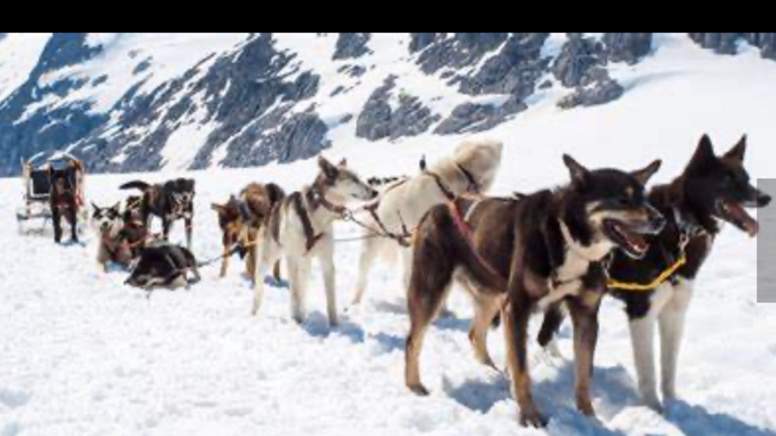 Zoe Mann is fundraising for Mountbatten Isle of Wight