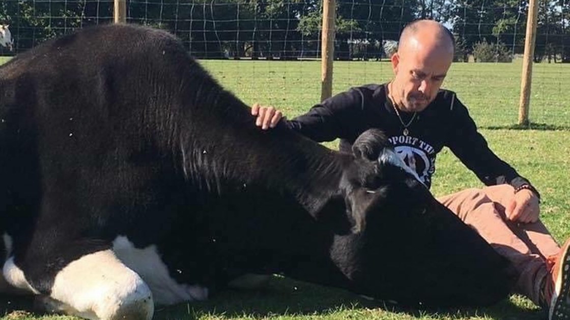 Chas Newkey-Burden is fundraising for The Retreat Animal Rescue