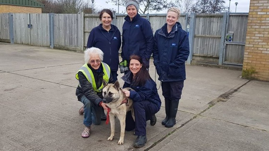 RSPCA Block Fen Animal Centre - JustGiving