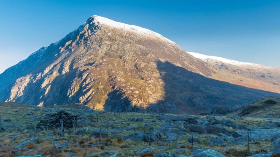 Mia Stewart is fundraising for Centrepoint